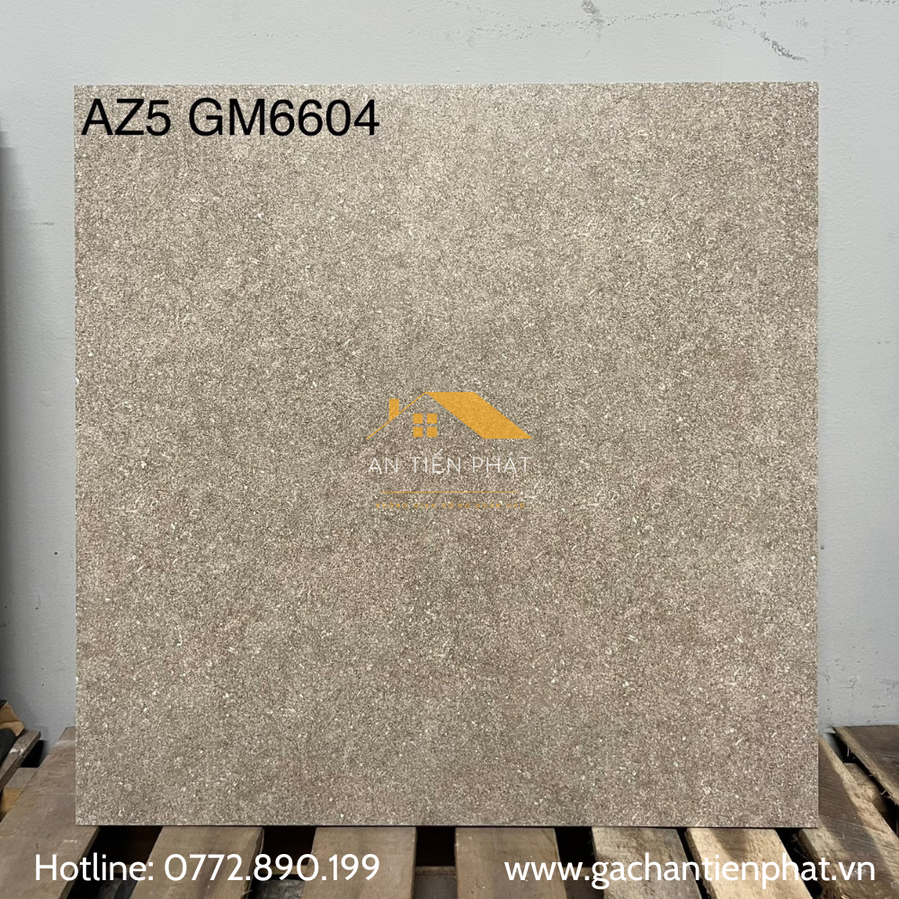 Gạch Viglacera 60x60 Arizona AZ5 GM6604 bề mặt mờ xương porcelain ...