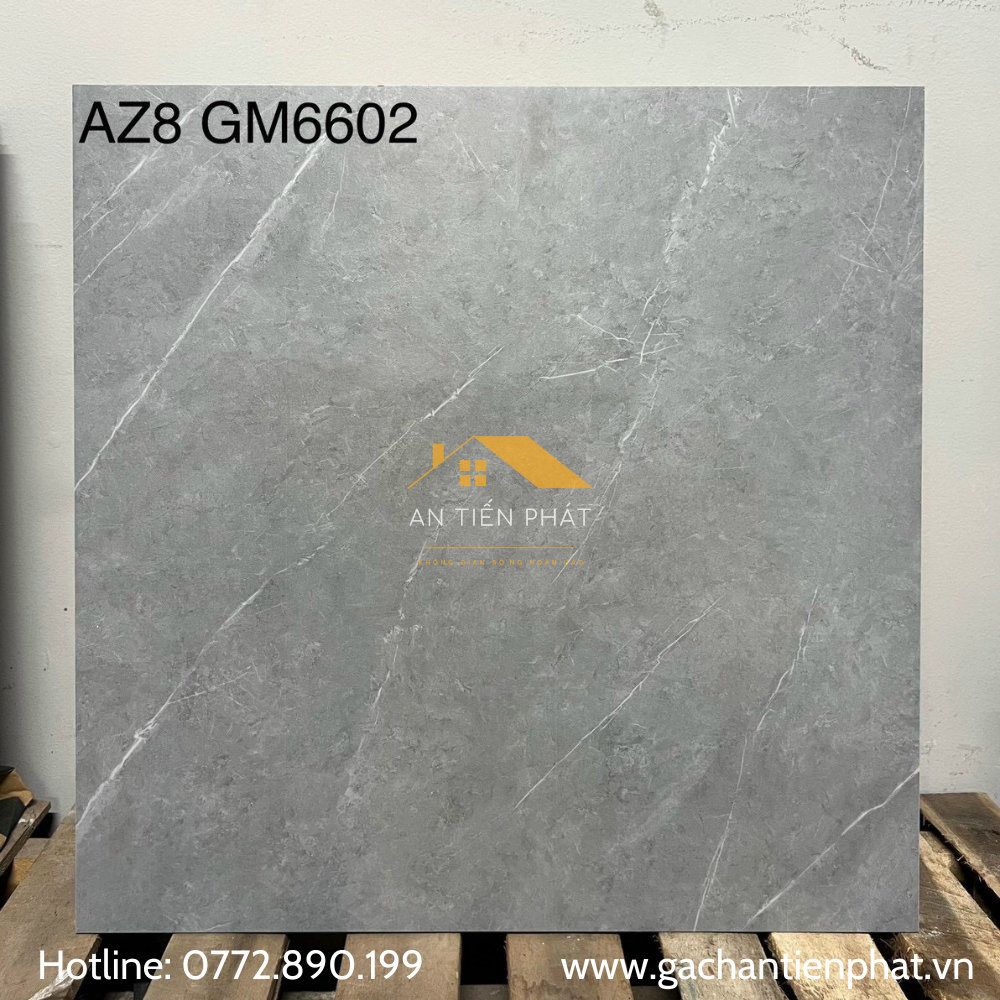 Gạch Viglacera 60x60 Arizona AZ8 GM6602 bề mặt mờ xương porcelain An ...