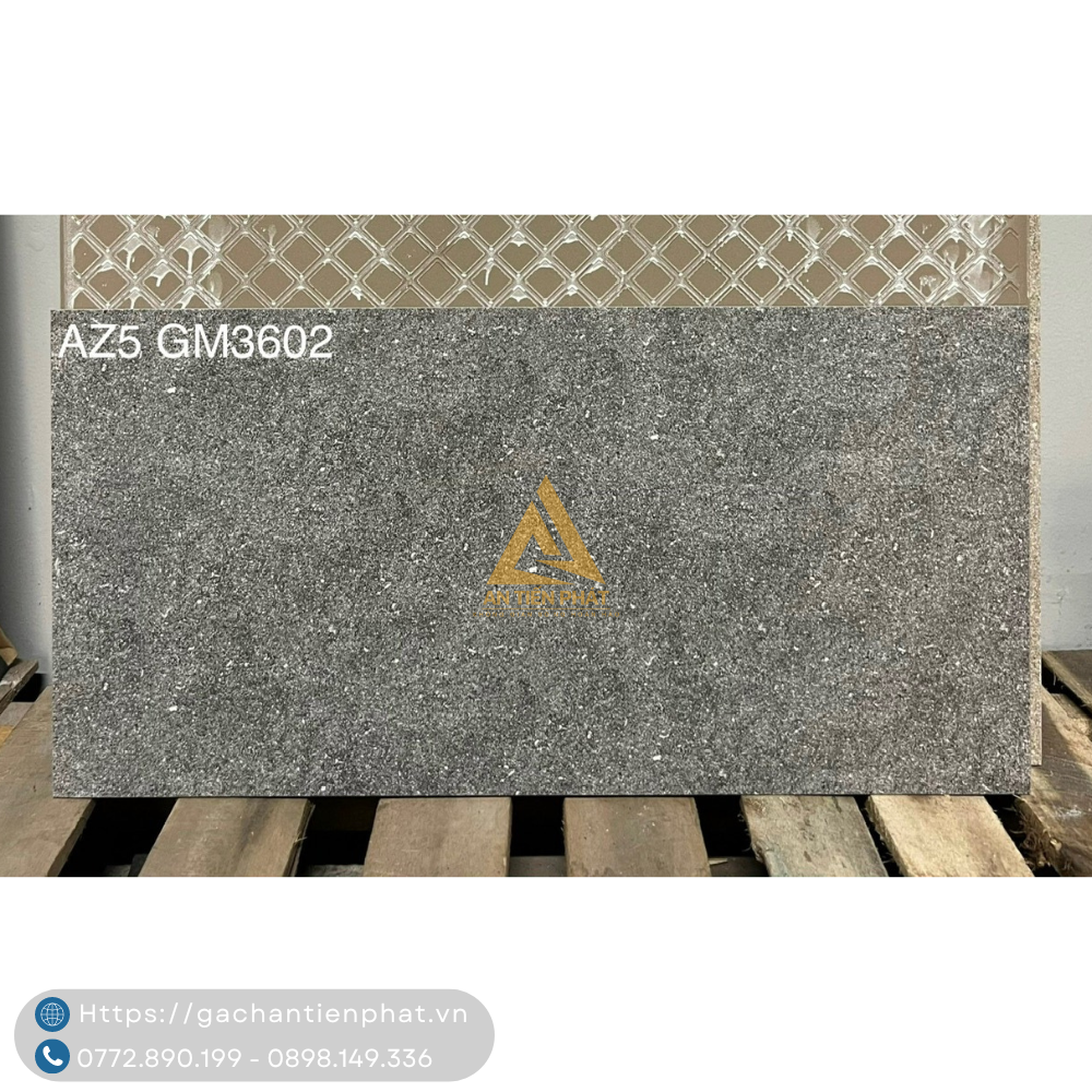Gạch Viglacera 30x60 Arizona AZ5 GM3602 bề mặt mờ xương porcelain An ...