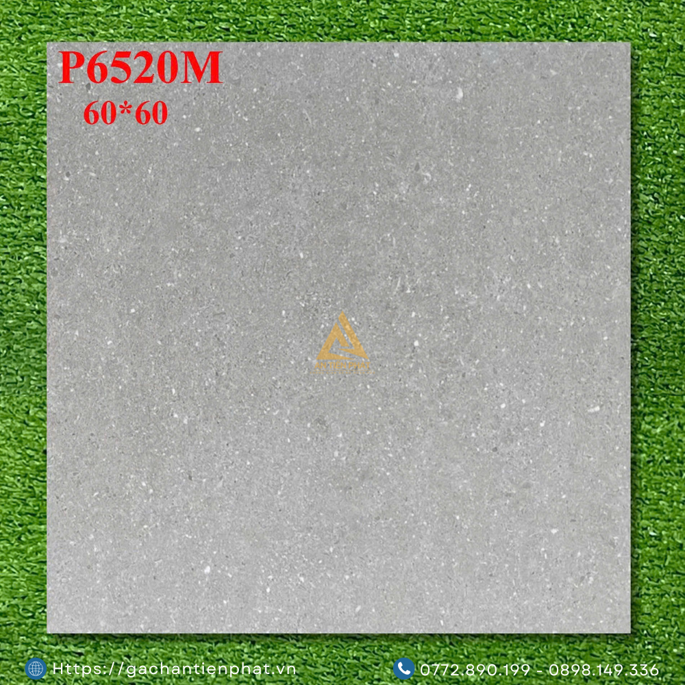 Gạch Pancera 60x60 P6520M Bề Mặt Mờ Matt An Tiến Phát - Gạch Ốp Lát Cao Cấp