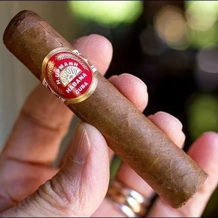 Hộp xì gà 25 điếu Hupman half corona – Gia dụng xách tay Đức