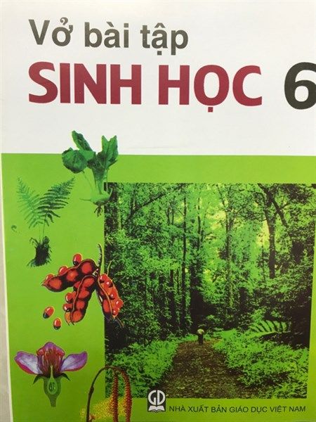 Vở bài tập sinh học 6 NXB GD VN – HIỆU SÁCH MAI