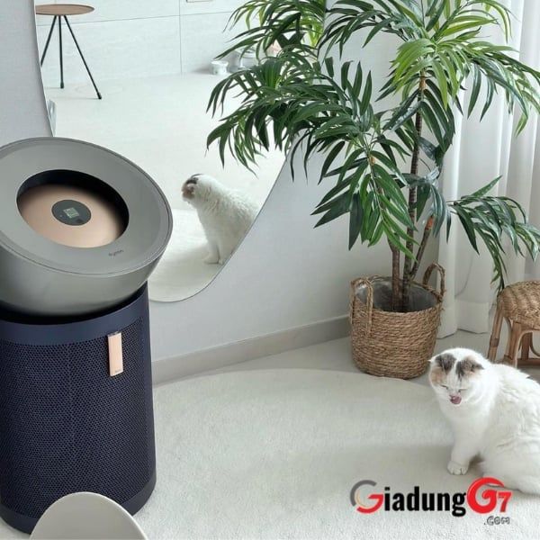 Máy lọc không khí Dyson BP03 Purifier Big+Quiet Formaldehyde