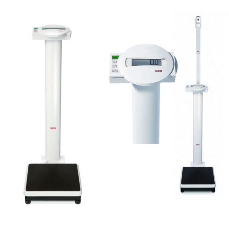 Cân cột điện tử có chức năng tính BMI SECA 769 – Cửa hàng Dr VIP (Vật ...