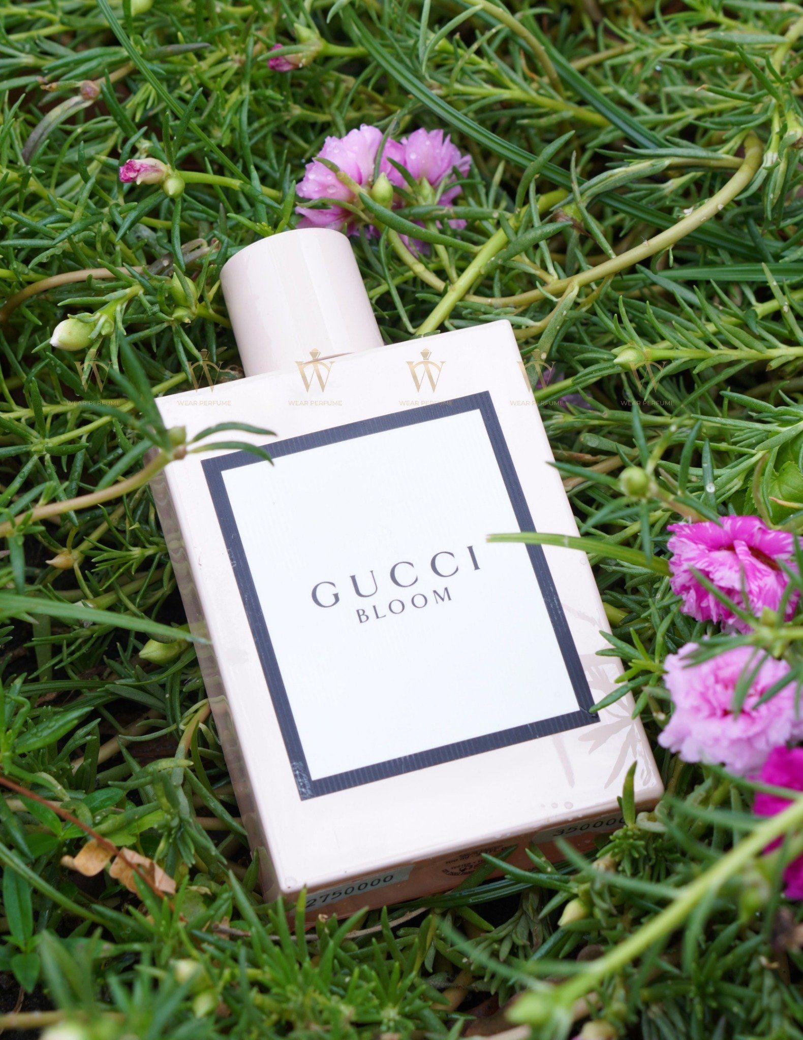 Nước Hoa Gucci Bloom EDP – wearperfume