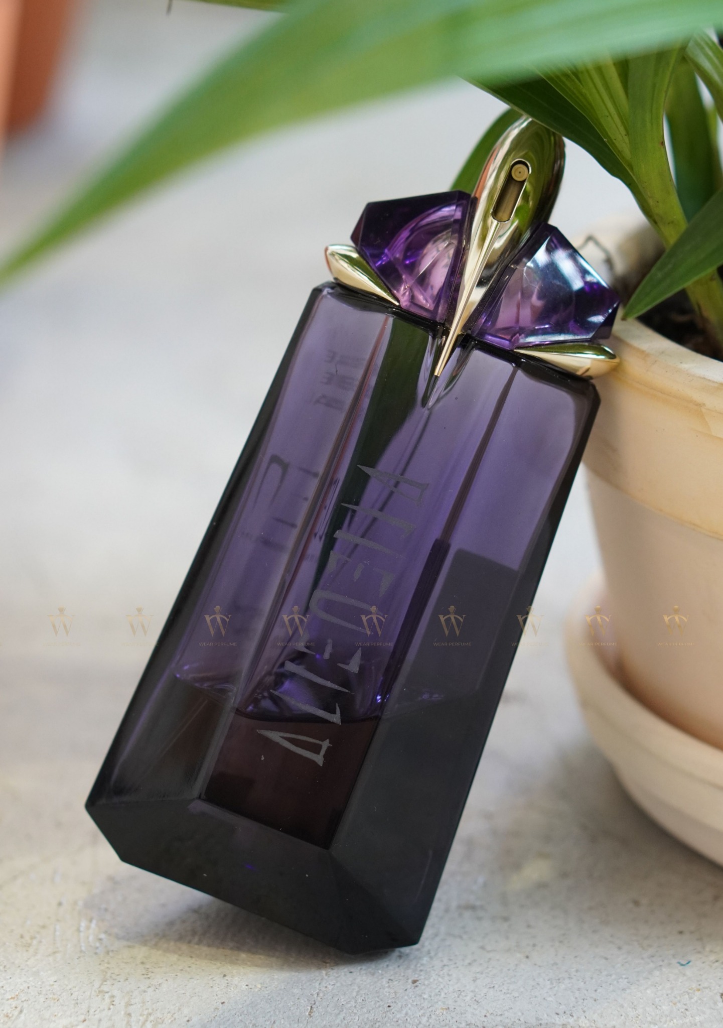 Nước hoa Thierry Mugler Alien EDP – wearperfume