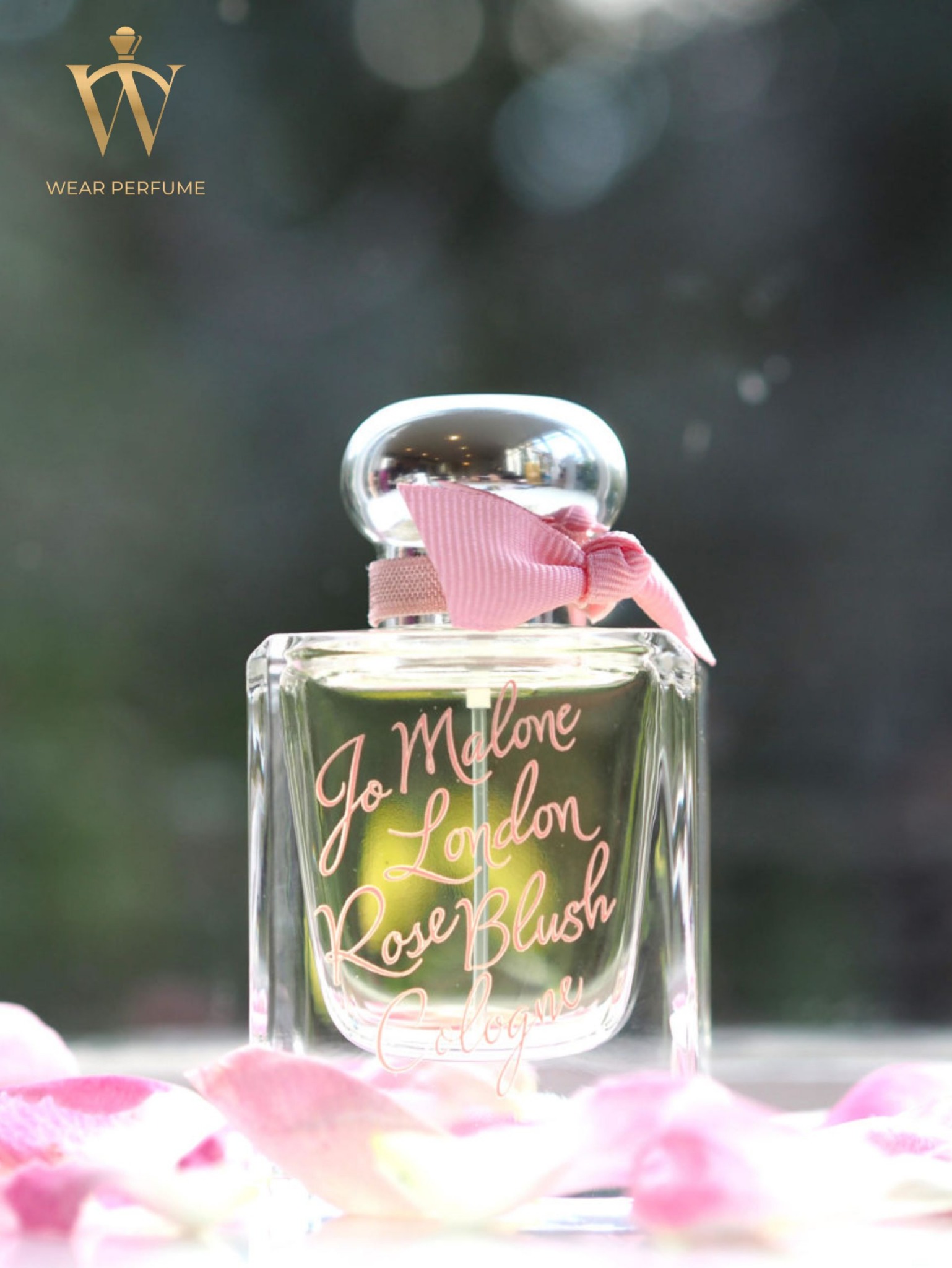 Jo Malone Rose Blush Eau De Cologne – wearperfume