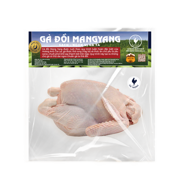 Gà đồi MangYang Hoàng Anh Gia Lai - Gà trống nguyên con Fruitsco - We ...