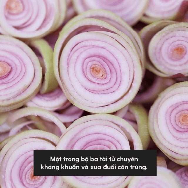 Tinh Dầu Sả Java ️ Công Thức & Cách Sử Dụng Đuổi Muỗi