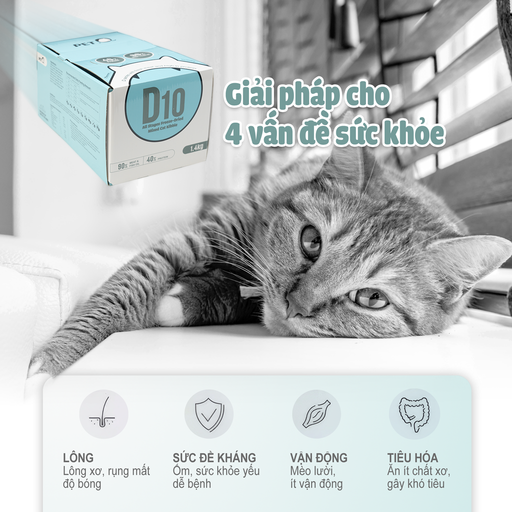 Thức ăn hạt Macaron D10 PetQ