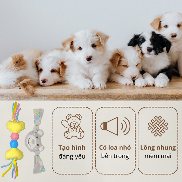 Đồ chơi nhai gặm hình xương & gấu bông FOFOS - Loa nhỏ vui nhộn | PetQ