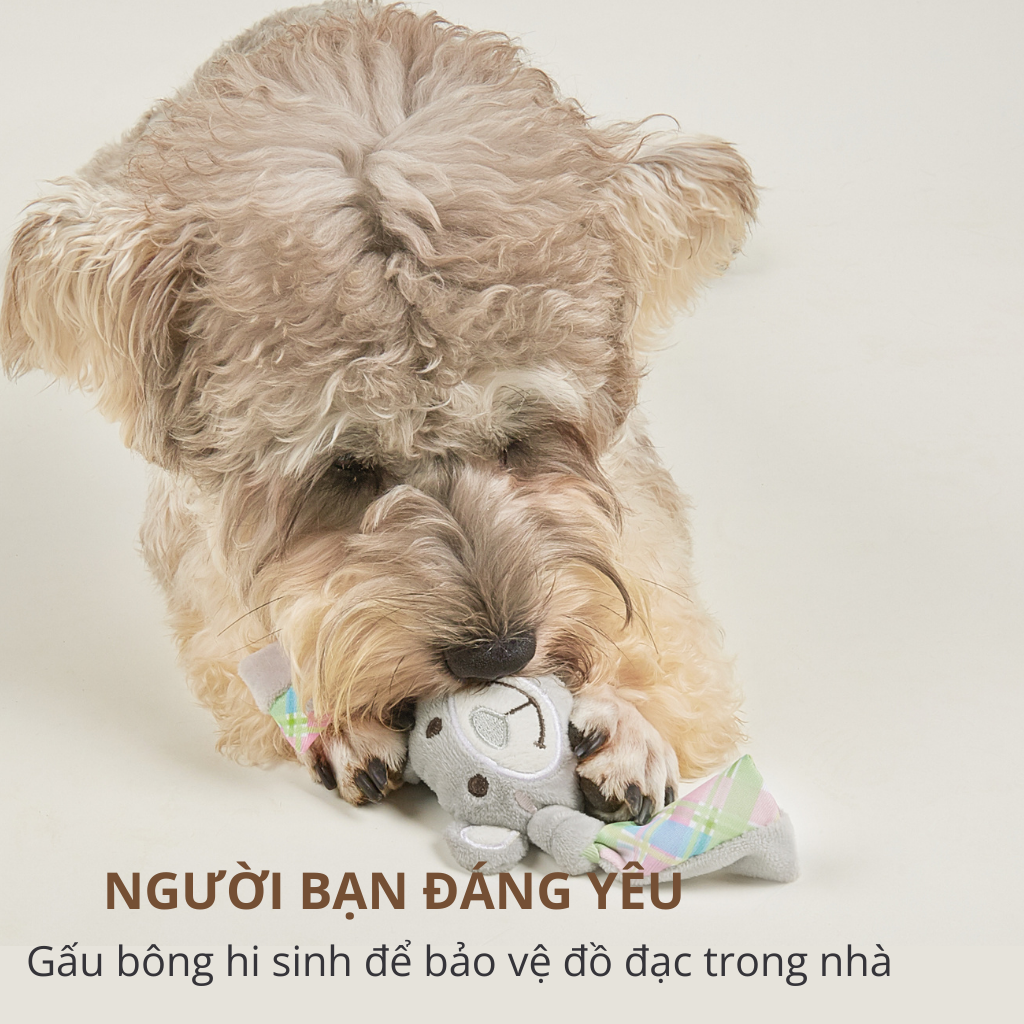 Đồ chơi nhai gặm hình xương & gấu bông FOFOS - Loa nhỏ vui nhộn | PetQ