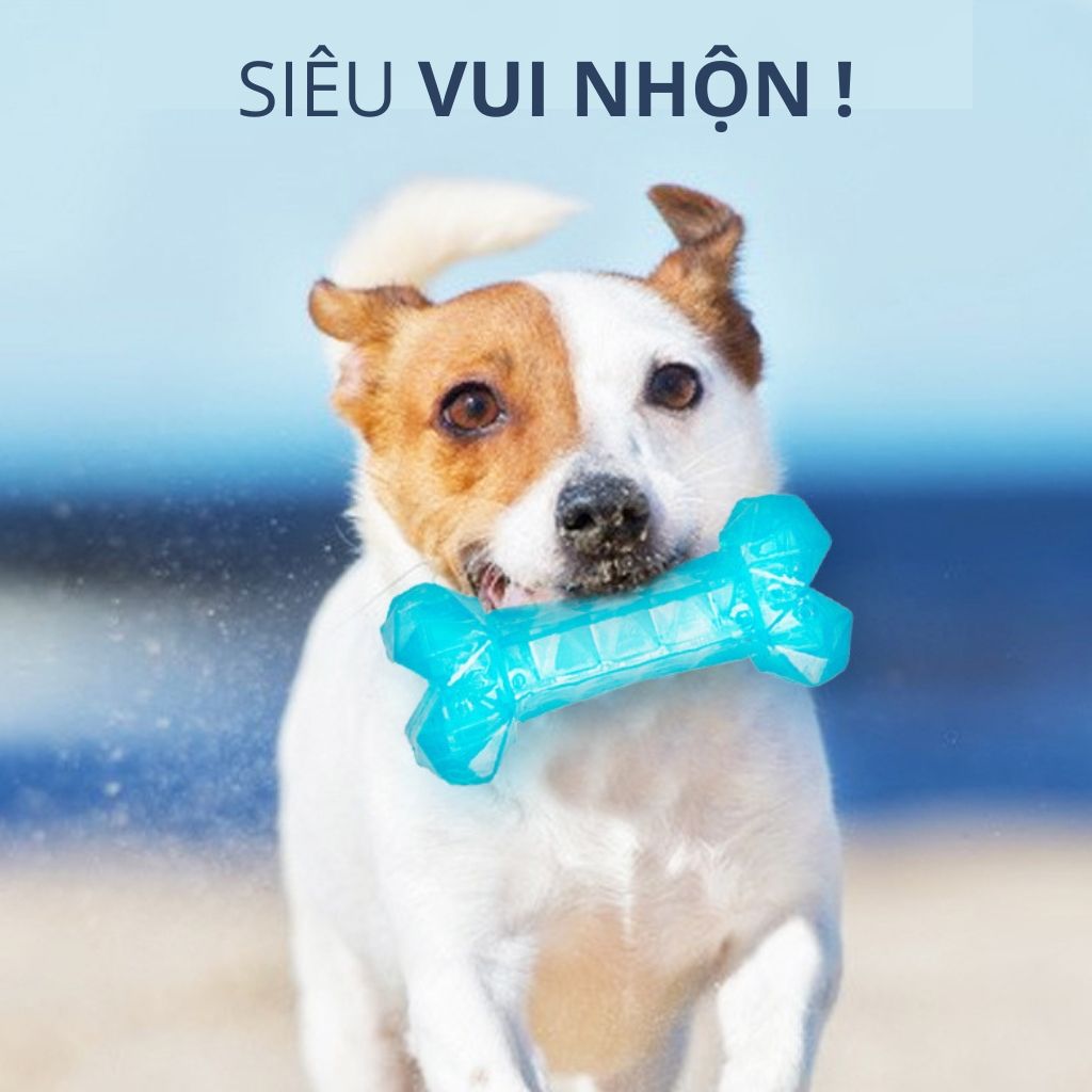 Đồ Chơi Xương Gặm dành Cho Chó - Siêu thú vị, an toàn | PetQ