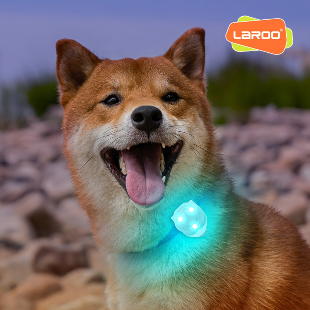 Mặt vòng cổ thú cưng Laroo - Hình bánh quy phát sáng | PetQ