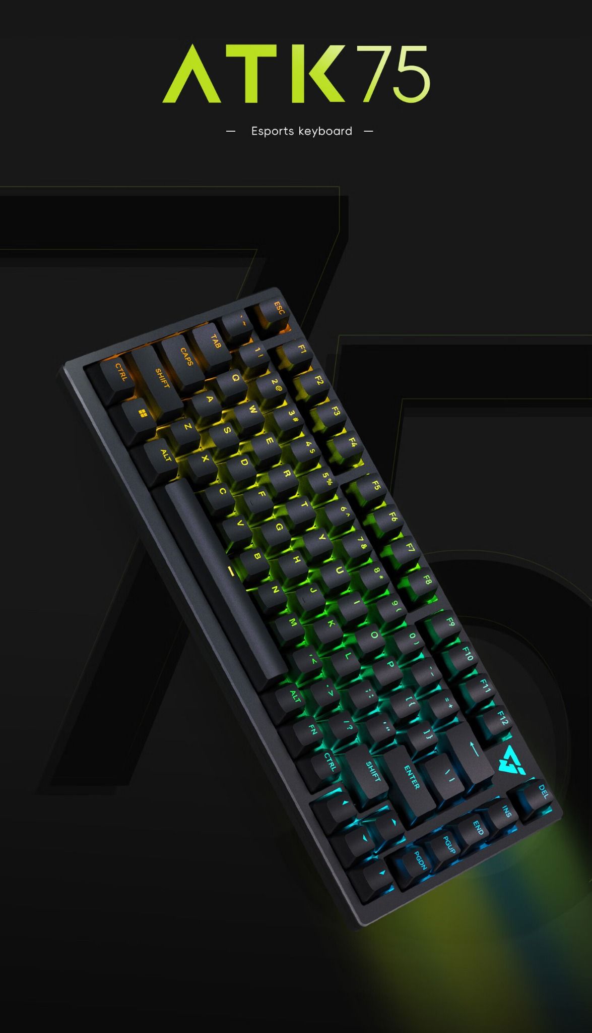 Bàn phím cơ VGN VXE ATK75 Magnetic Switch (Rapid Trigger) – Tiger ...