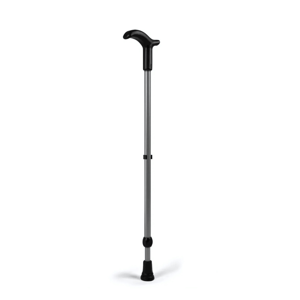 Gậy đi bộ Rebotec Simplex màu carbon