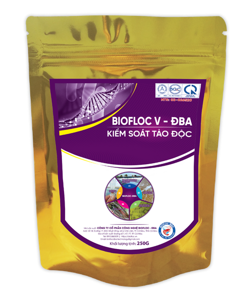 Biofloc - ĐBA