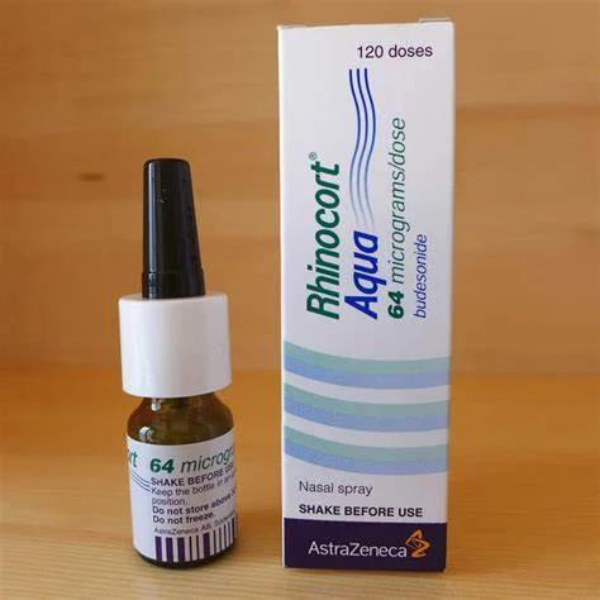 Rhinocort Aqua Trị Viêm Mũi Dị Ứng Có Tốt Không? Gía Bao Nhiêu?