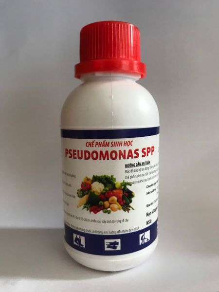 Chế phẩm sinh học Pseudomonas SPP NLU chai 100ml phòng và trừ bệnh thố ...