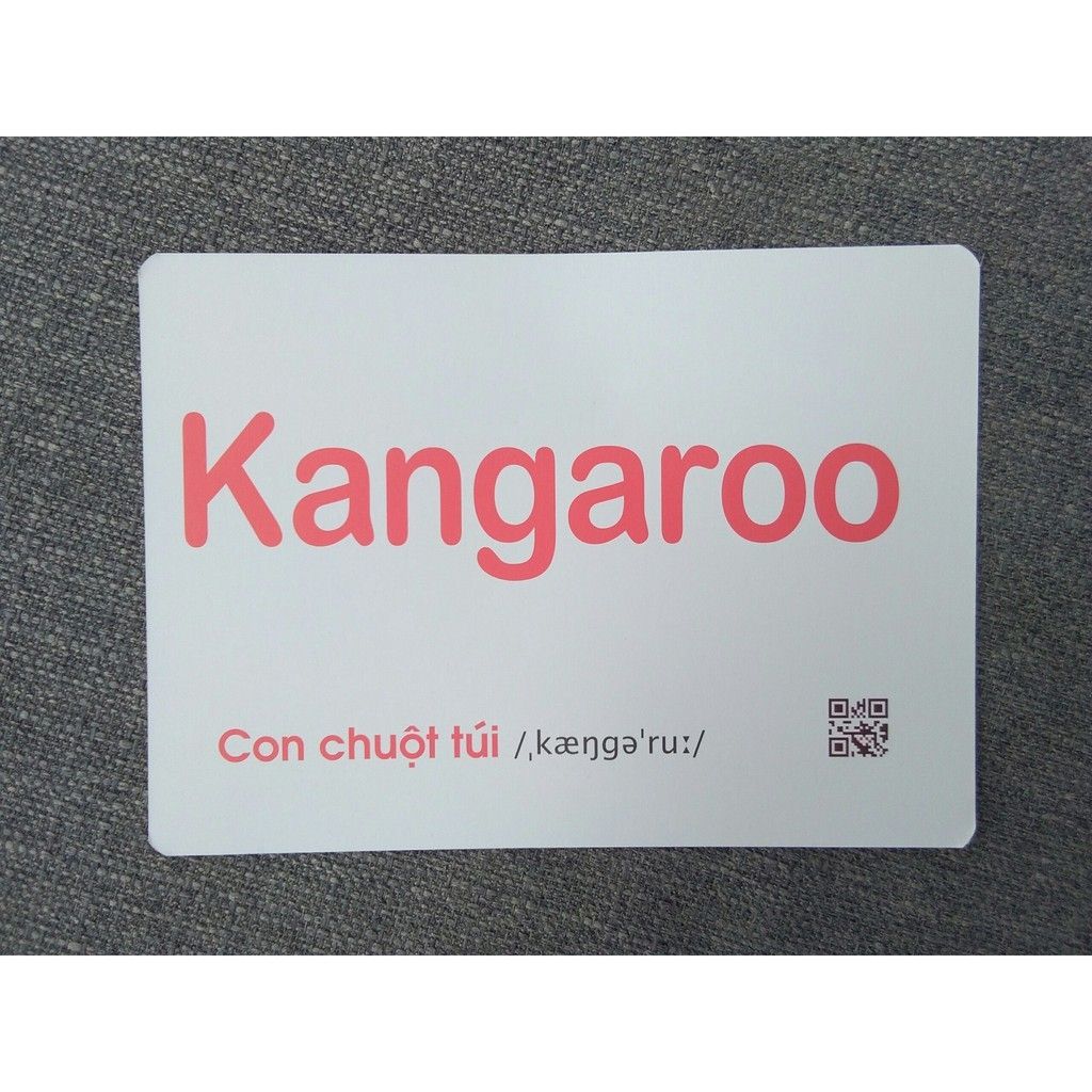 Flashcard Dạy Trẻ Theo Phương Pháp Glenn Doman - Động Vật Hoang Dã ...