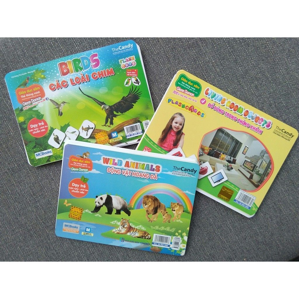Flashcard Dạy Trẻ Theo Phương Pháp Glenn Doman - Động Vật Hoang Dã ...