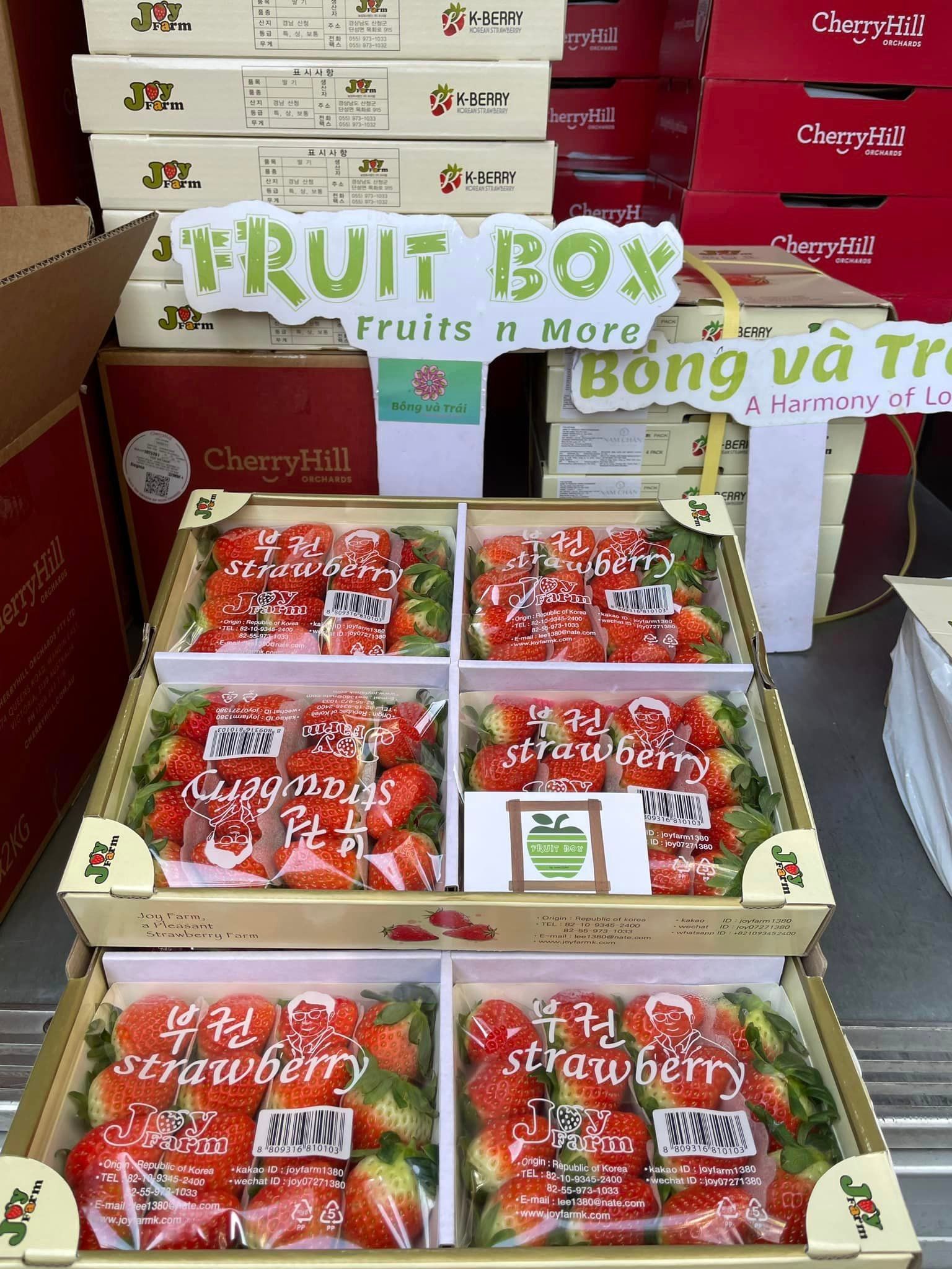 DÂU HÀN QUỐC – FRUITBOX NAM CHÂN