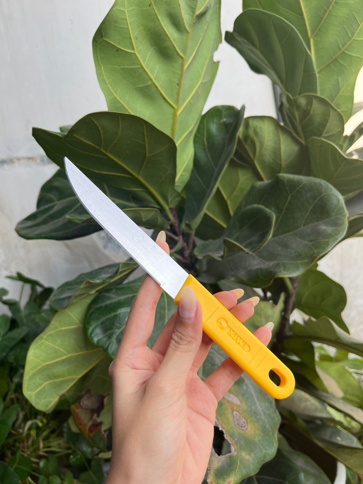 Diệu Linh Gia Dung Thong Minh Hot Trend