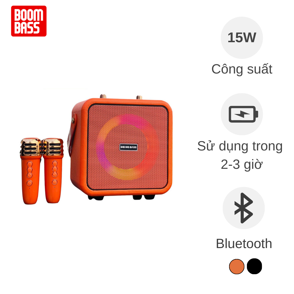 **Loa kèm 2 mic Boom Bass M4101