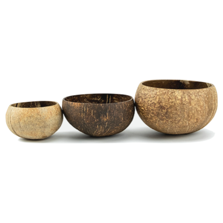Eco Friendly Natural Raw Coconut Shell Bowl HaVi Craft