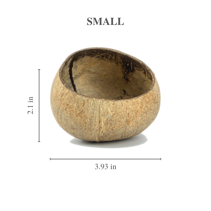 Eco Friendly Natural Raw Coconut Shell Bowl HaVi Craft