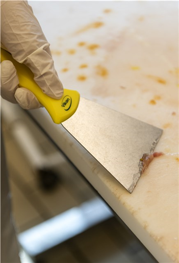 Stainless Steel Hand Scraper, 100 mm – Green Kites Vietnam