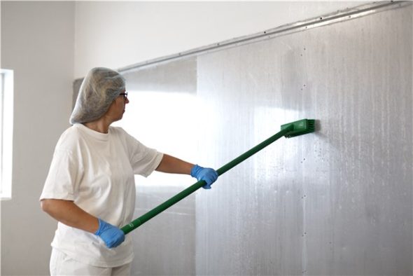 Compact Wall/Deck Scrub, 225 mm, Hard – Green Kites Vietnam