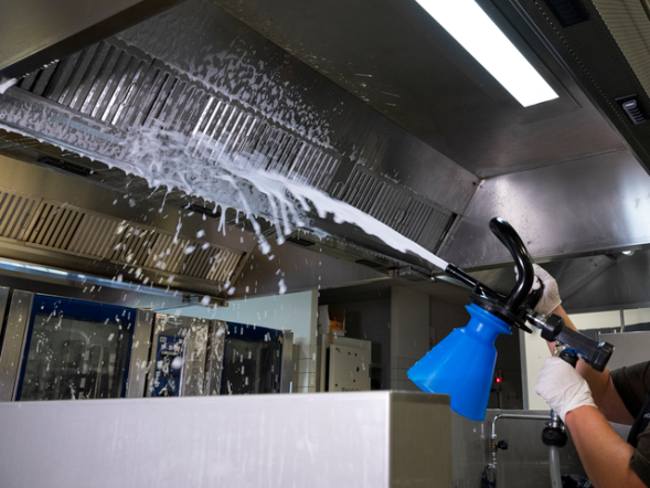 Vikan Foam sprayer, incl. jet spray, 1/2"(Q), 2.5 Litre - Green Kites ...