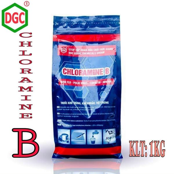 Chloramine B - Đóng thùng 25Kg – Bột giặt Đức Giang