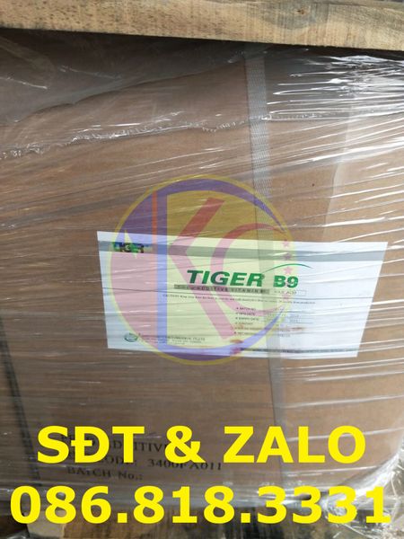 Acid Folic - Axit Folic - Vitamin B9 – KDCCHEMICAL