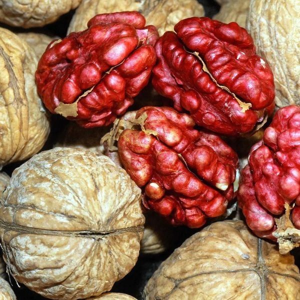 Nhân hạt óc chó đỏ – Faminuts House