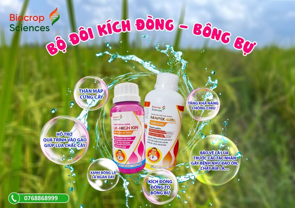 Phân bón vi lượng LK-HIGH KIN của Biocrop Sciences – Vật tư nông nghiệp Công Danh 1