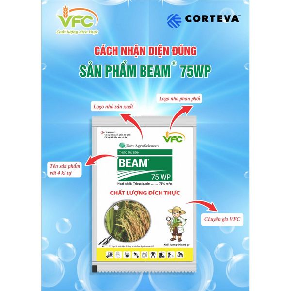 THUỐC TRỊ BỆNH ĐẠO ÔN LÁ, ĐAO ÔN CỔ BÔNGBEAM75WP/75gr vfc – Vật tư nông ...