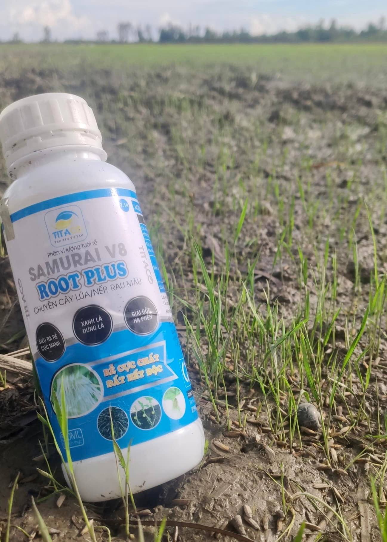 Phân bón cao cấp ra rễ cực mạnh Root plus chai 500ml – Vật tư nông nghiệp Công Danh 1