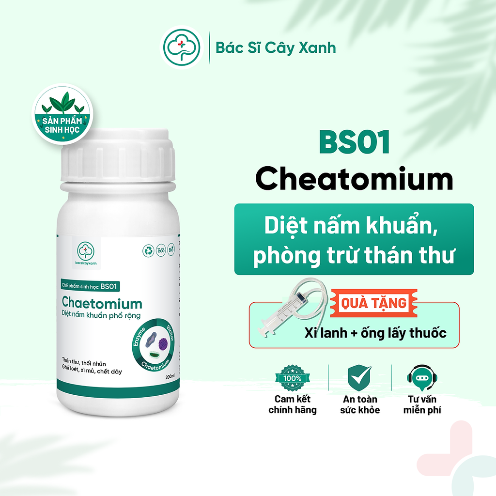 Chế phẩm diệt nấm BS01 Chaetomium Tiêu diệt nhanh lưu dẫn mạnh An toà ...