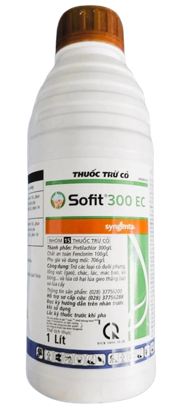 Sofit 300EC giúp ruộng lúa sạch cỏ dại, lúa cơi, lúa 2 từng” (lúa bị l ...