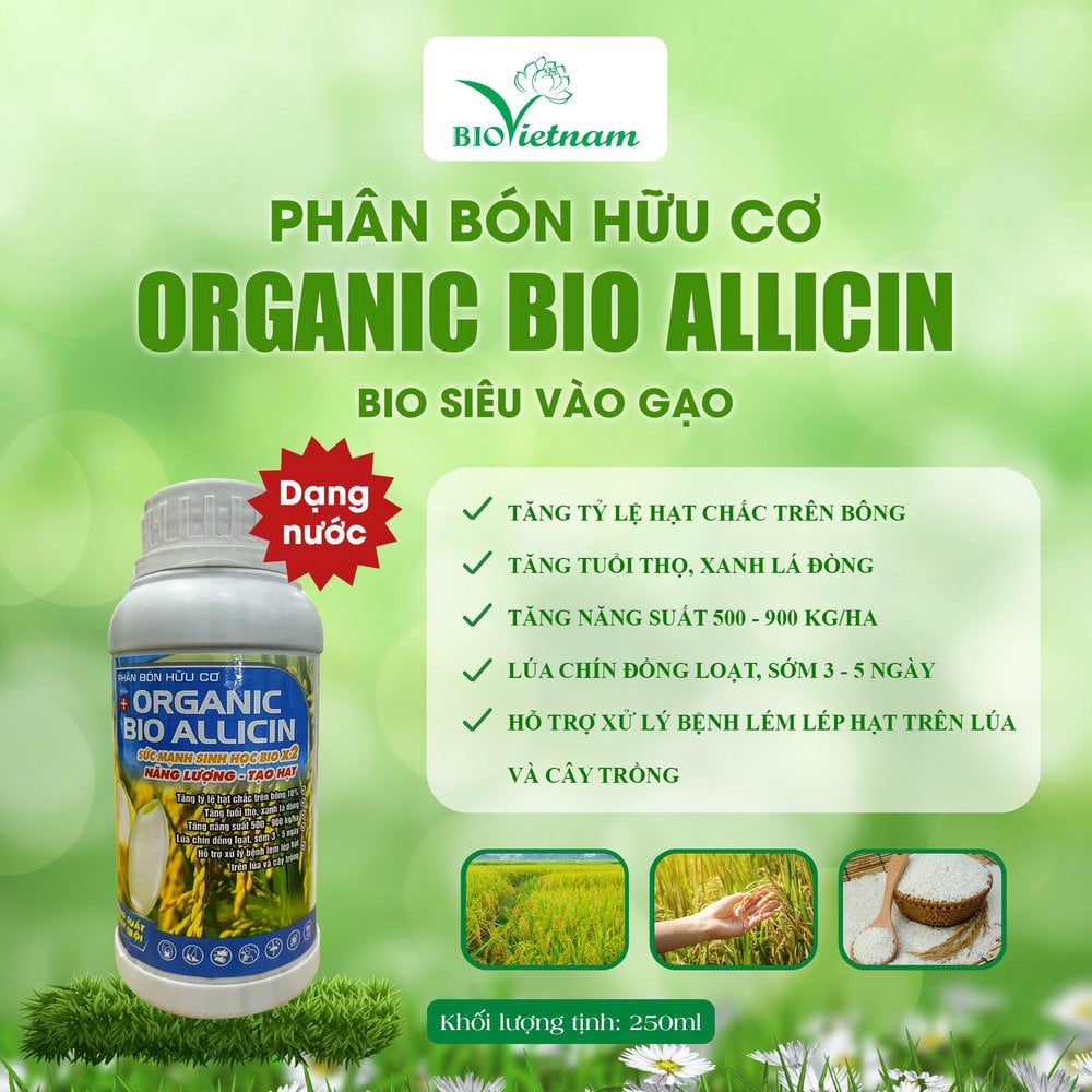 Phân bón hữu cơ vô gạo ORGANIC BIO ALLICIN – Vật tư nông nghiệp Công Danh 1