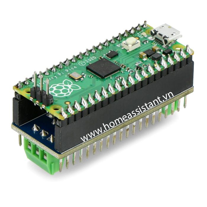 Bo mạch RS485 Modbus to Raspberry Pi Pico-2CH-RS485 – HOMEHASS Việt Nam