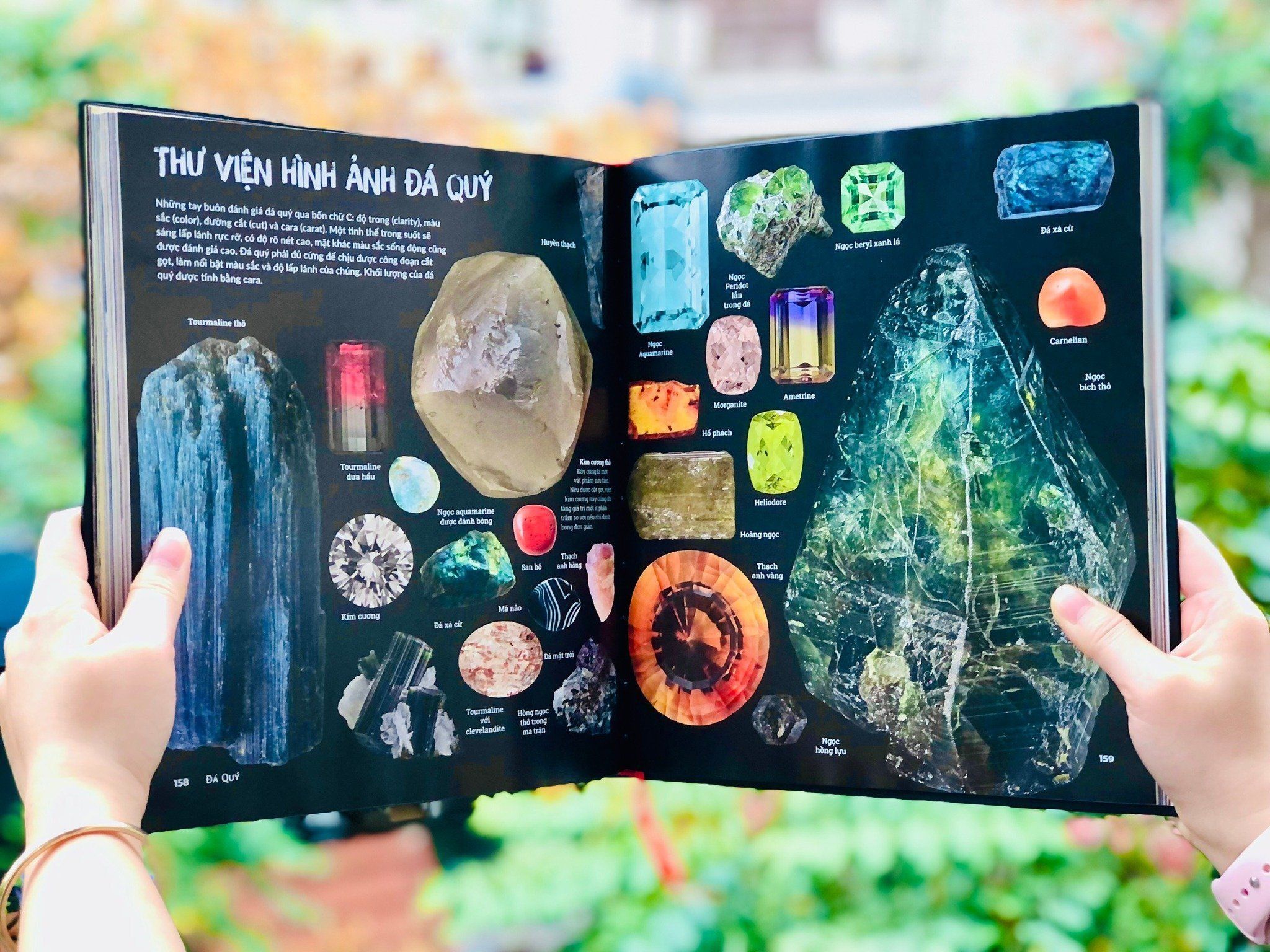 Đá Quý Và Khoáng Sản - Bìa Cứng - Sean Callery, Miranda Smith – Bến ...