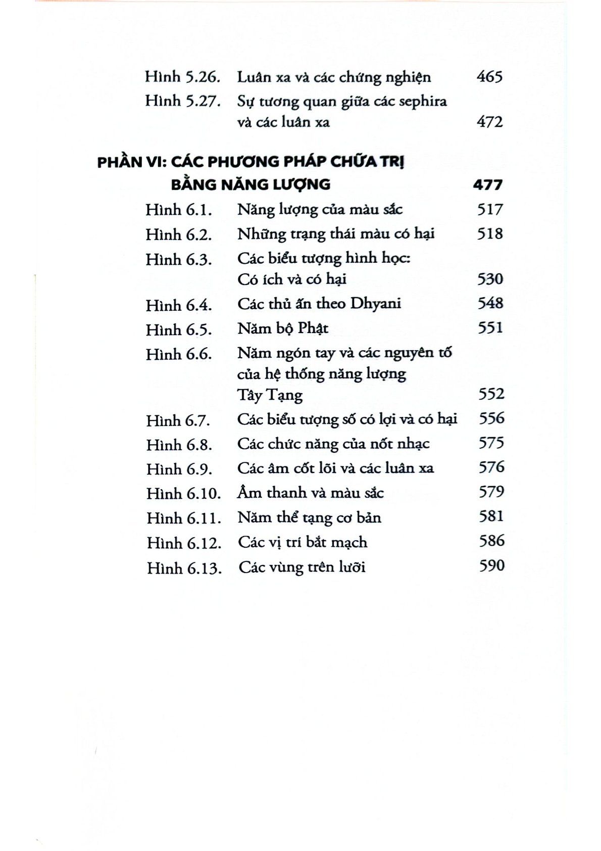 The Subtle Body - Bách Khoa Thư Về Giải Phẫu Năng Lượng – Bến Nghé Books