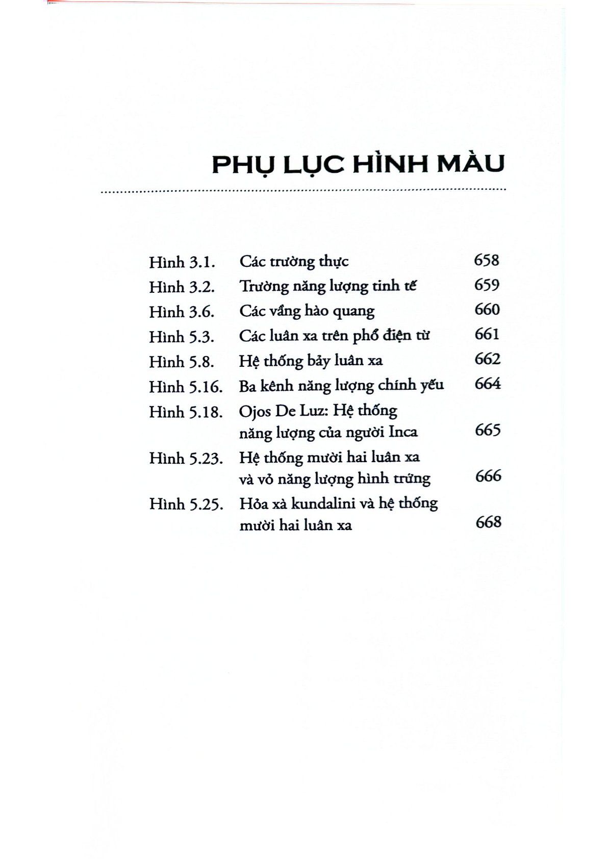 The Subtle Body - Bách Khoa Thư Về Giải Phẫu Năng Lượng – Bến Nghé Books