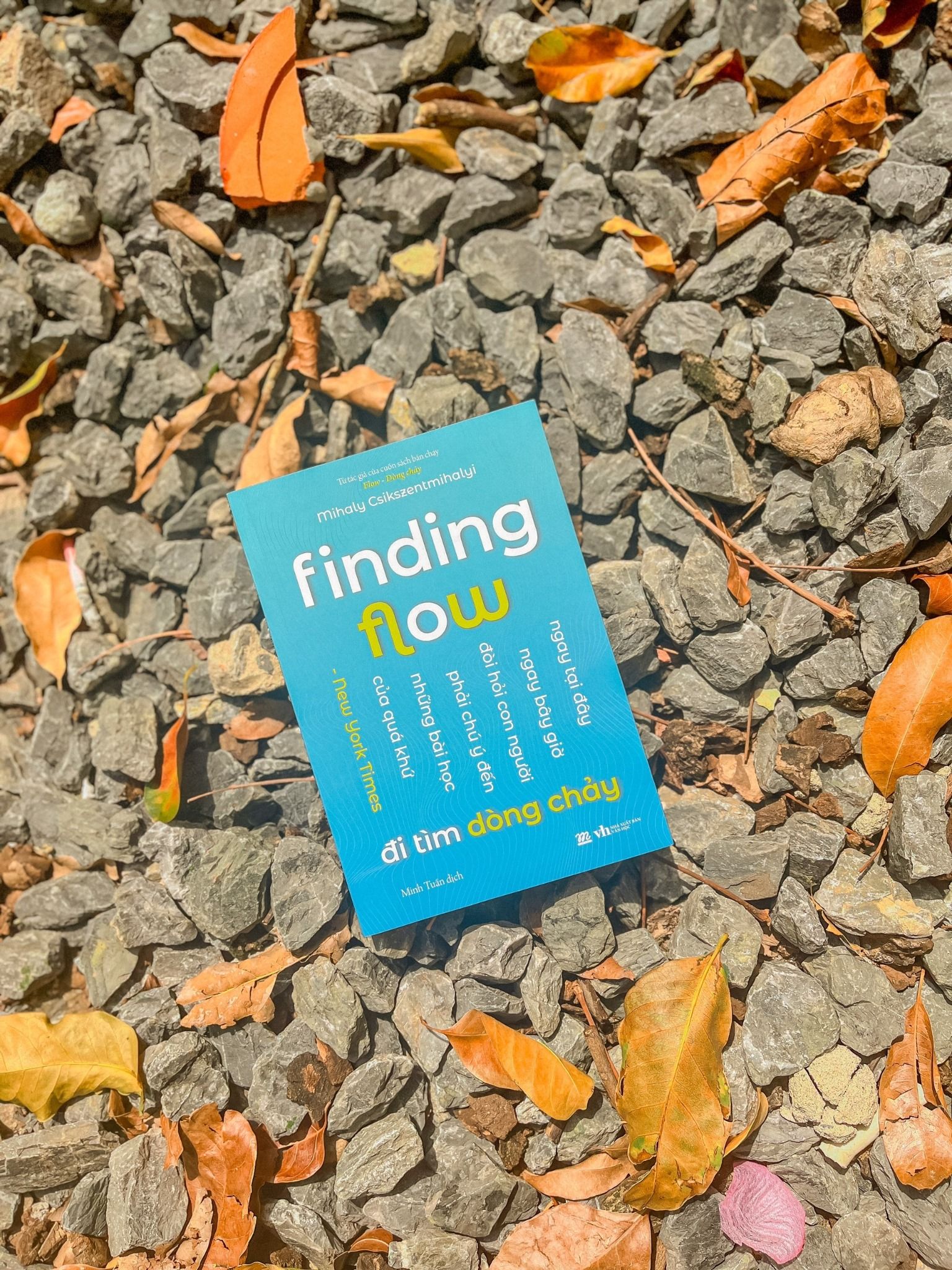 Finding Flow - Đi Tìm Dòng Chảy - Mihaly Csikszentmihalyi – Bến Nghé Books