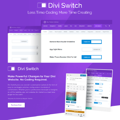 Divi Switch_039.247.8393 – Core Media