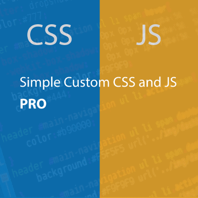 Simple Custom CSS and JS PRO_039.247.8393 – Core Media