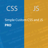 Simple Custom CSS and JS PRO_039.247.8393 – Core Media